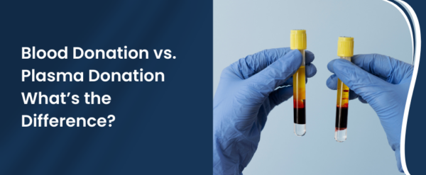 Blood Donation vs Plasma Donation: Key Differences Explained